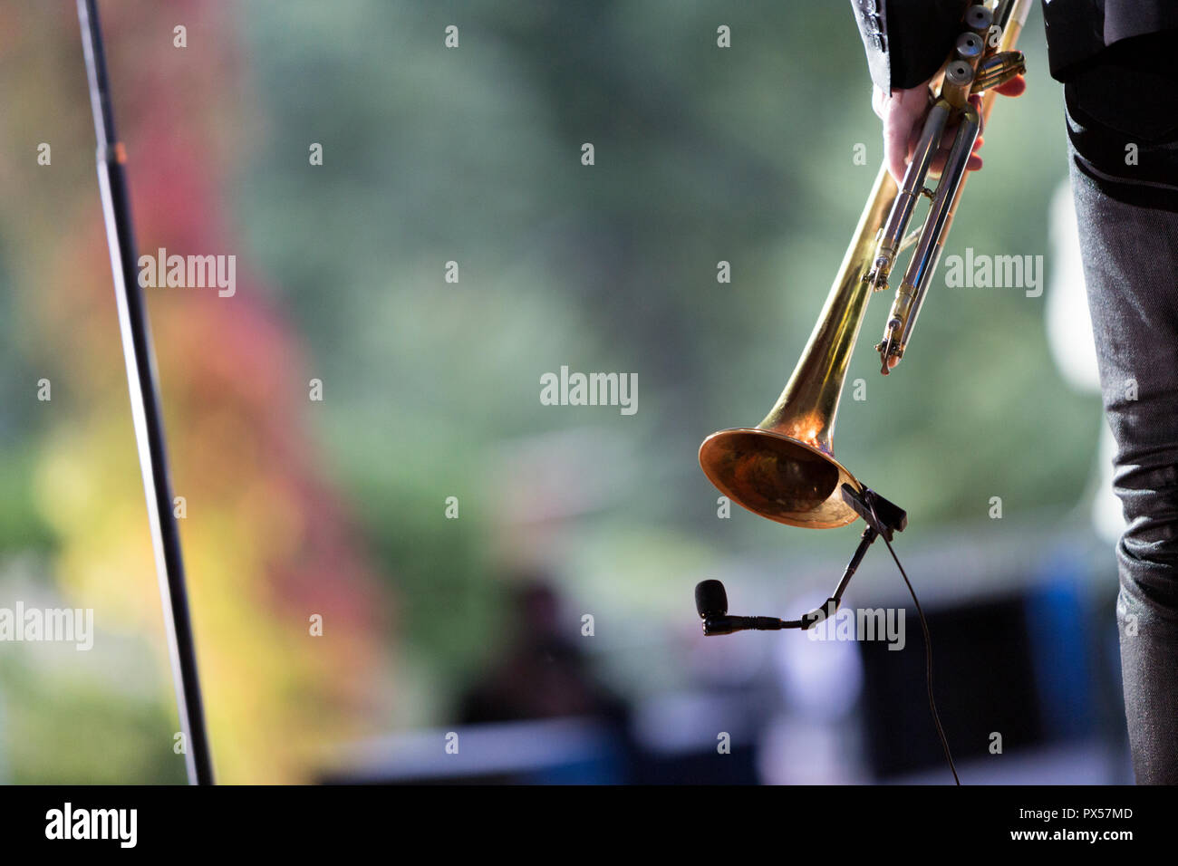 A trumpet player holding a trumpet that has a pick up microphone ...