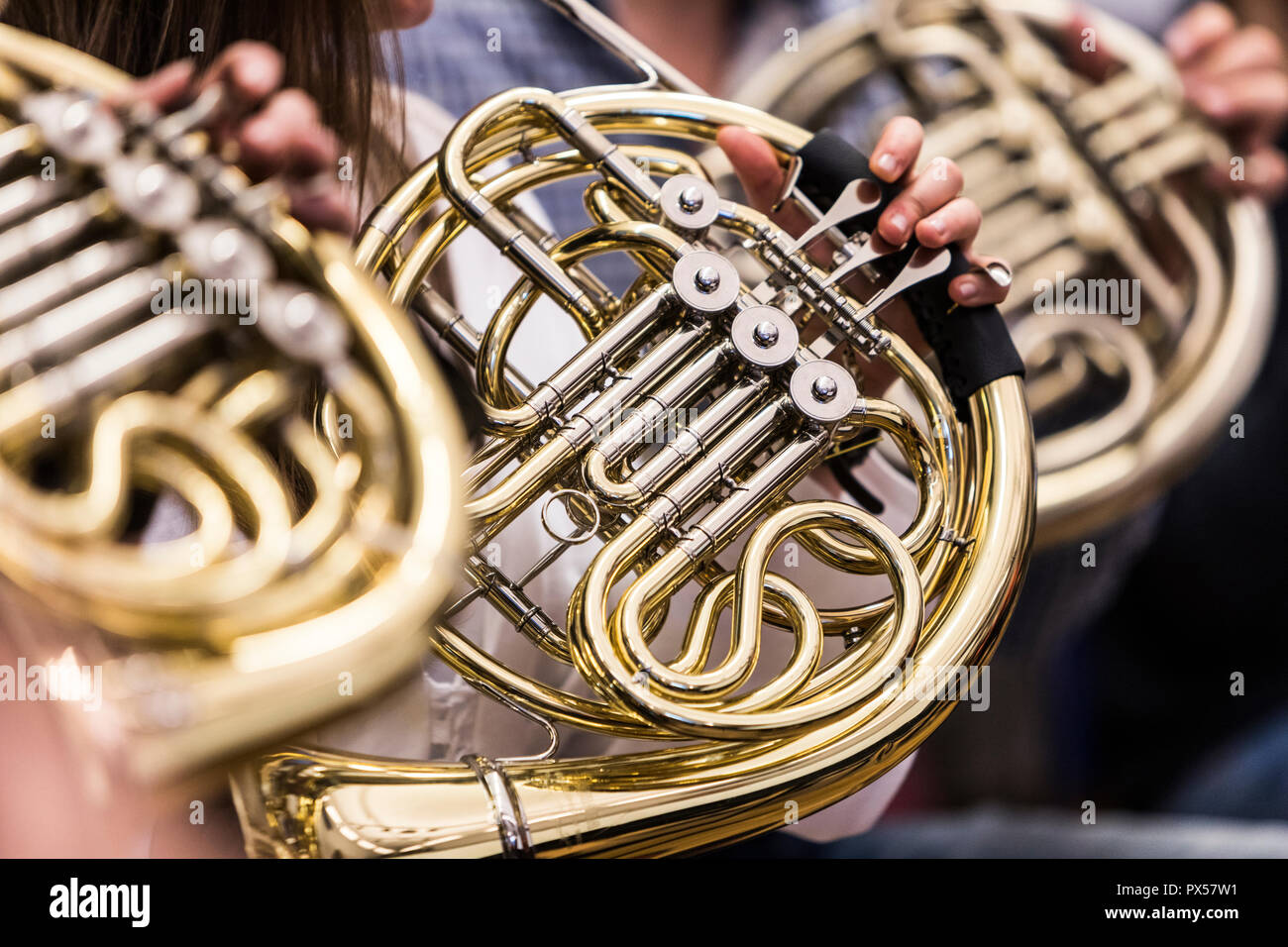 People playing the French horn Stock Photo - Alamy