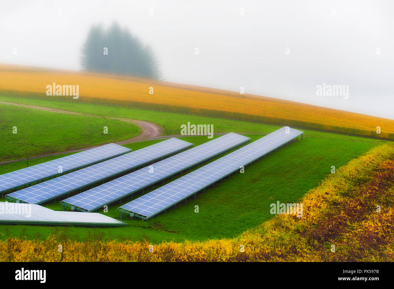 Solar panels lay between fields of grapes. Autumn colors, fog and mist ...