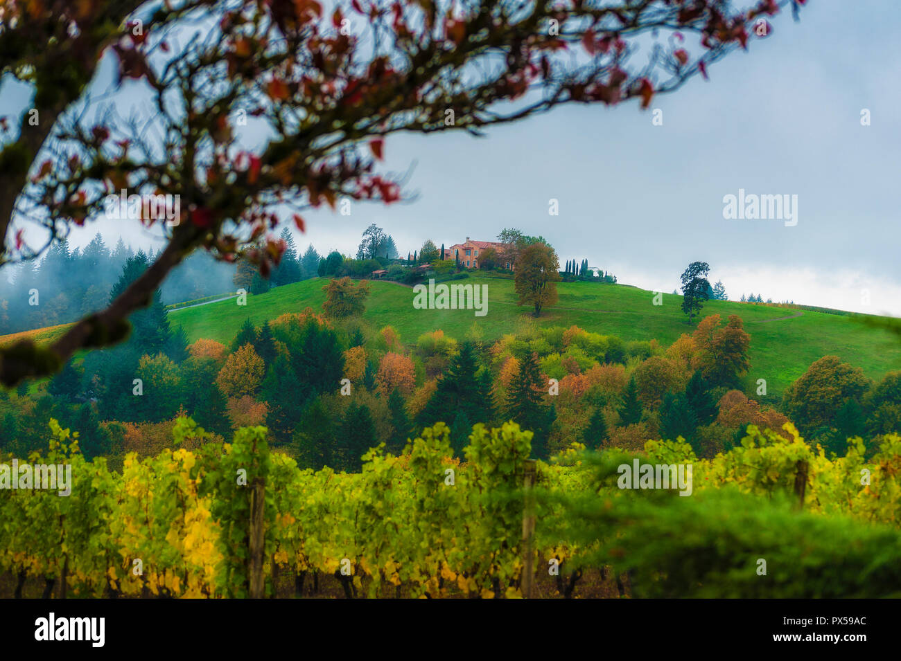 Dundee cloudy hi-res stock photography and images - Alamy