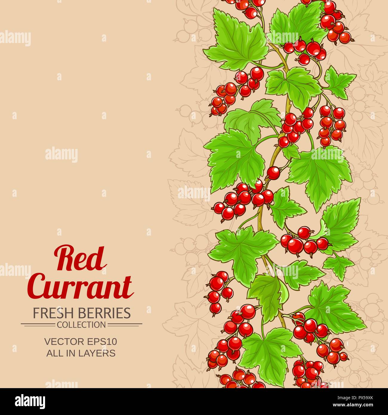 Blackcurrant juice Stock Vector Images - Alamy