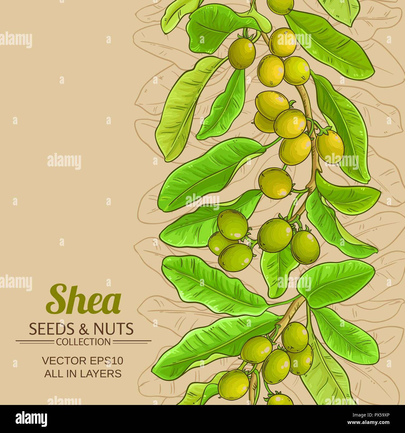 shea vector pattern on color background Stock Vector Image & Art - Alamy