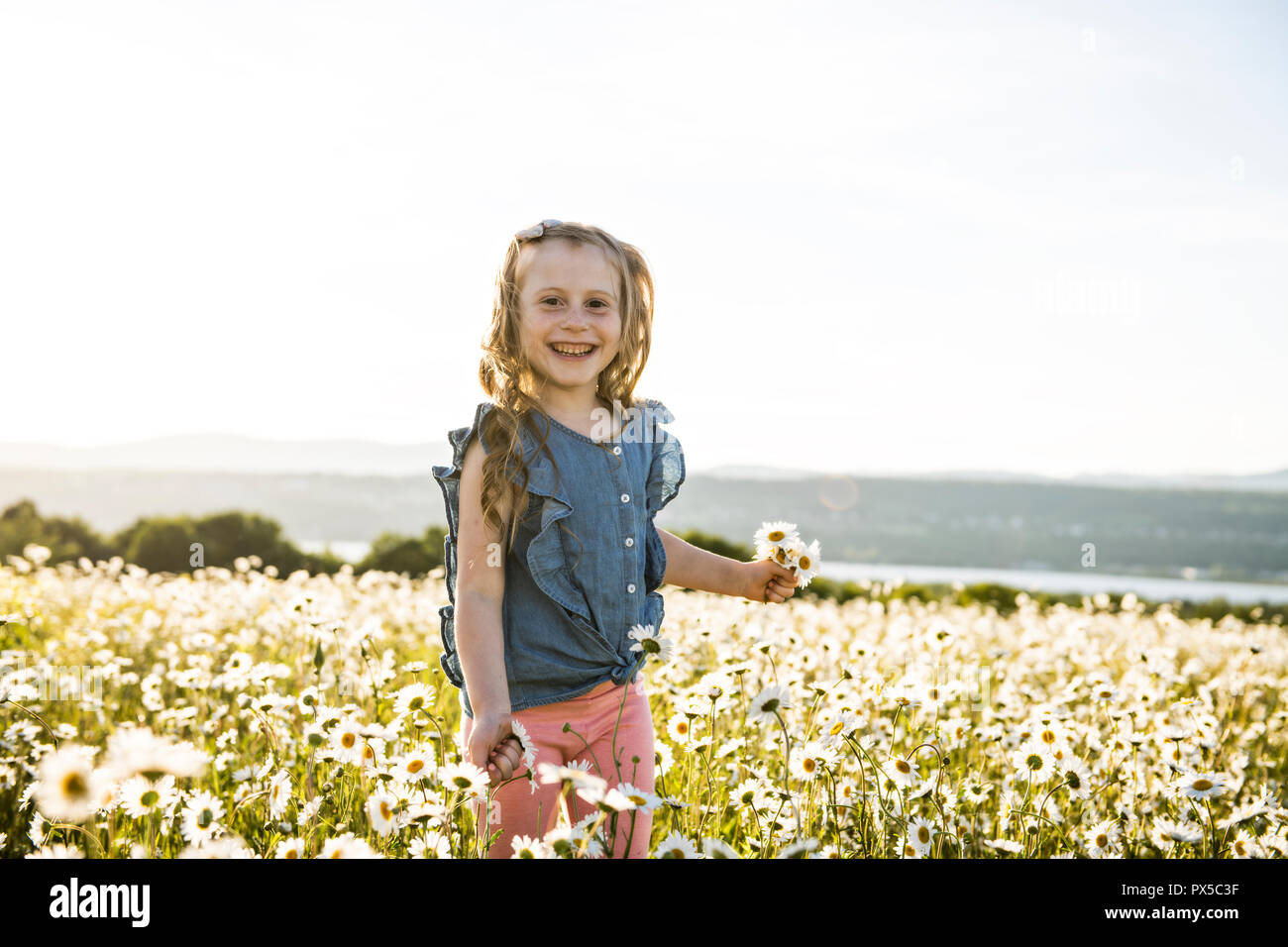 Cute child girl camomile hi-res stock photography and images - Alamy