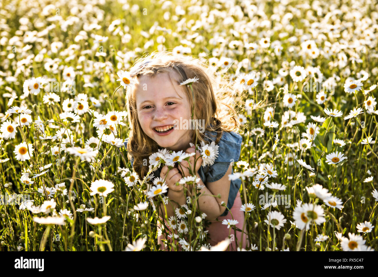 Cute child girl at camomile field daisy Stock Photo - Alamy