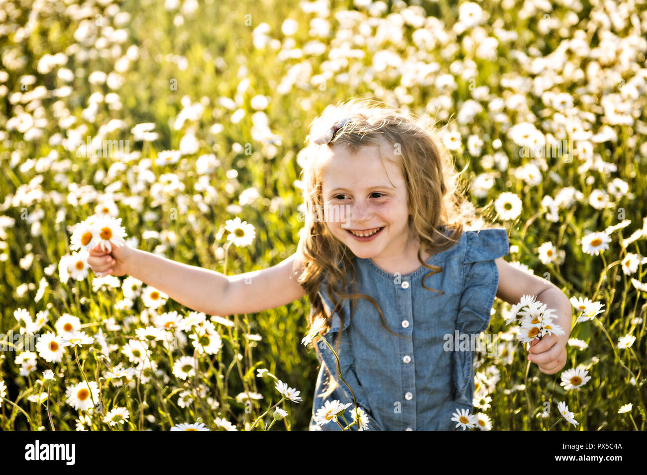 Cute child girl at camomile field daisy Stock Photo - Alamy