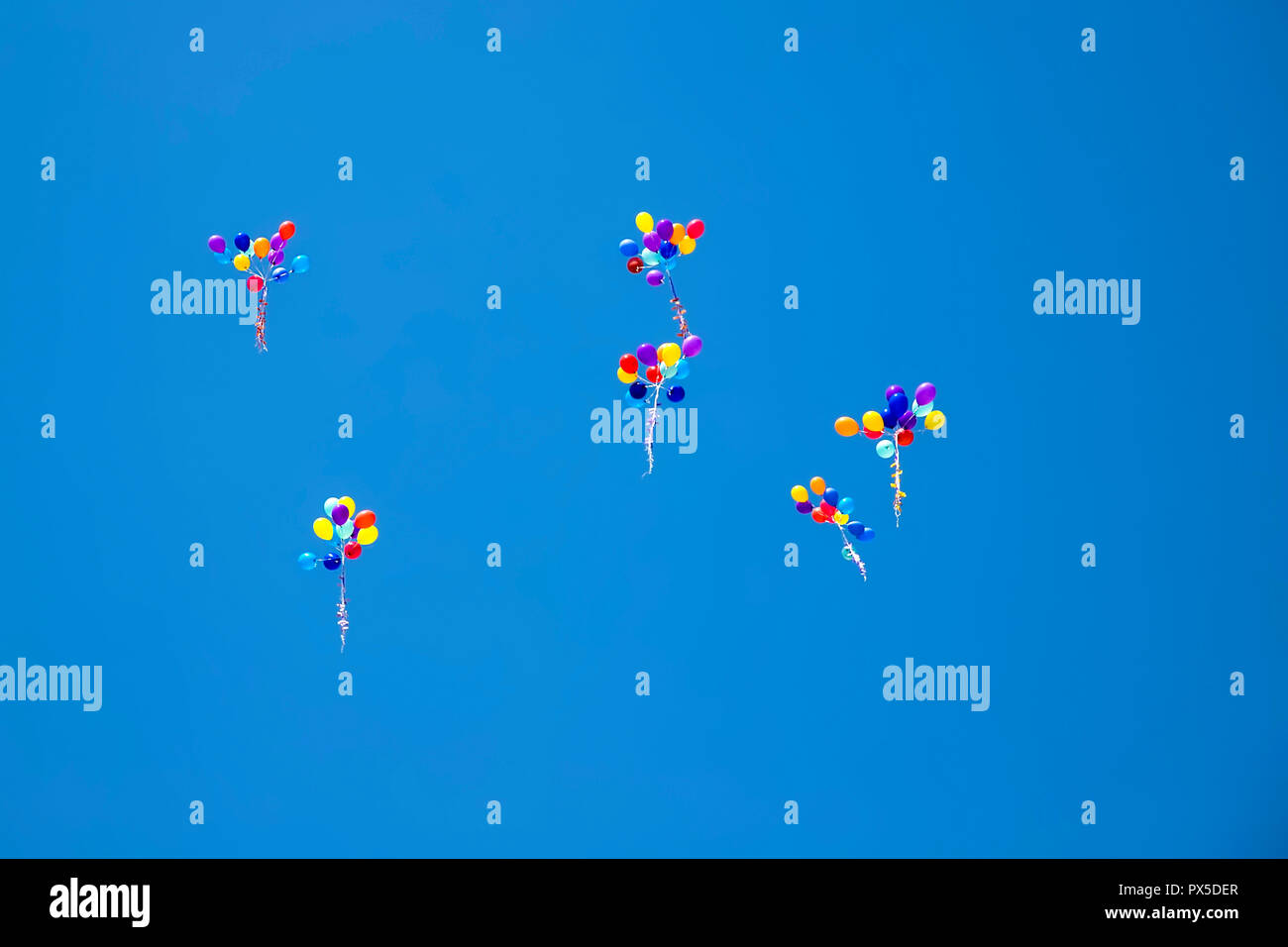 The multi colored helium balloons flying In the blue sky. the concept ...