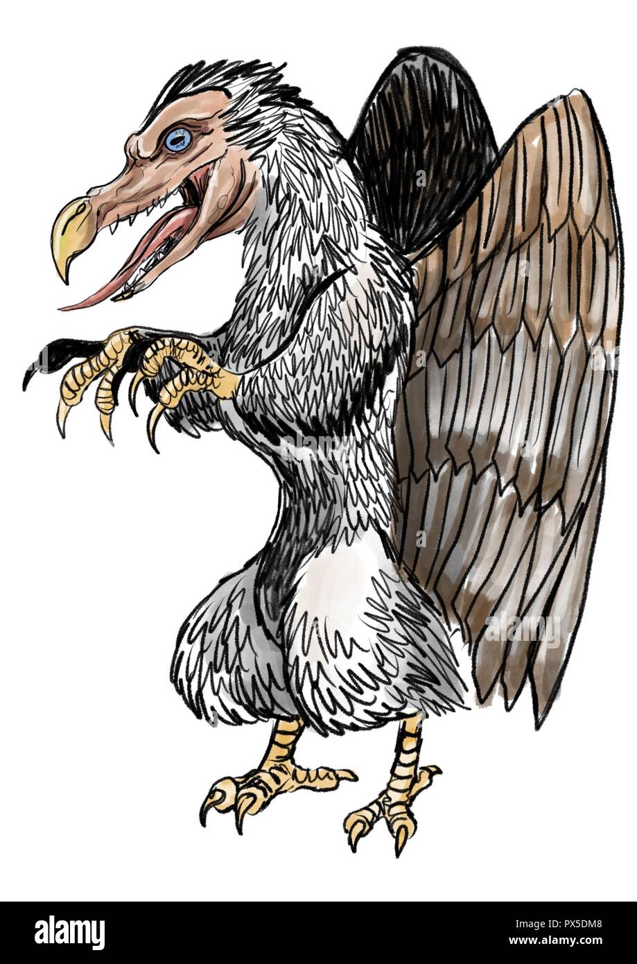 Vulture flying griffon Cut Out Stock Images & Pictures - Alamy