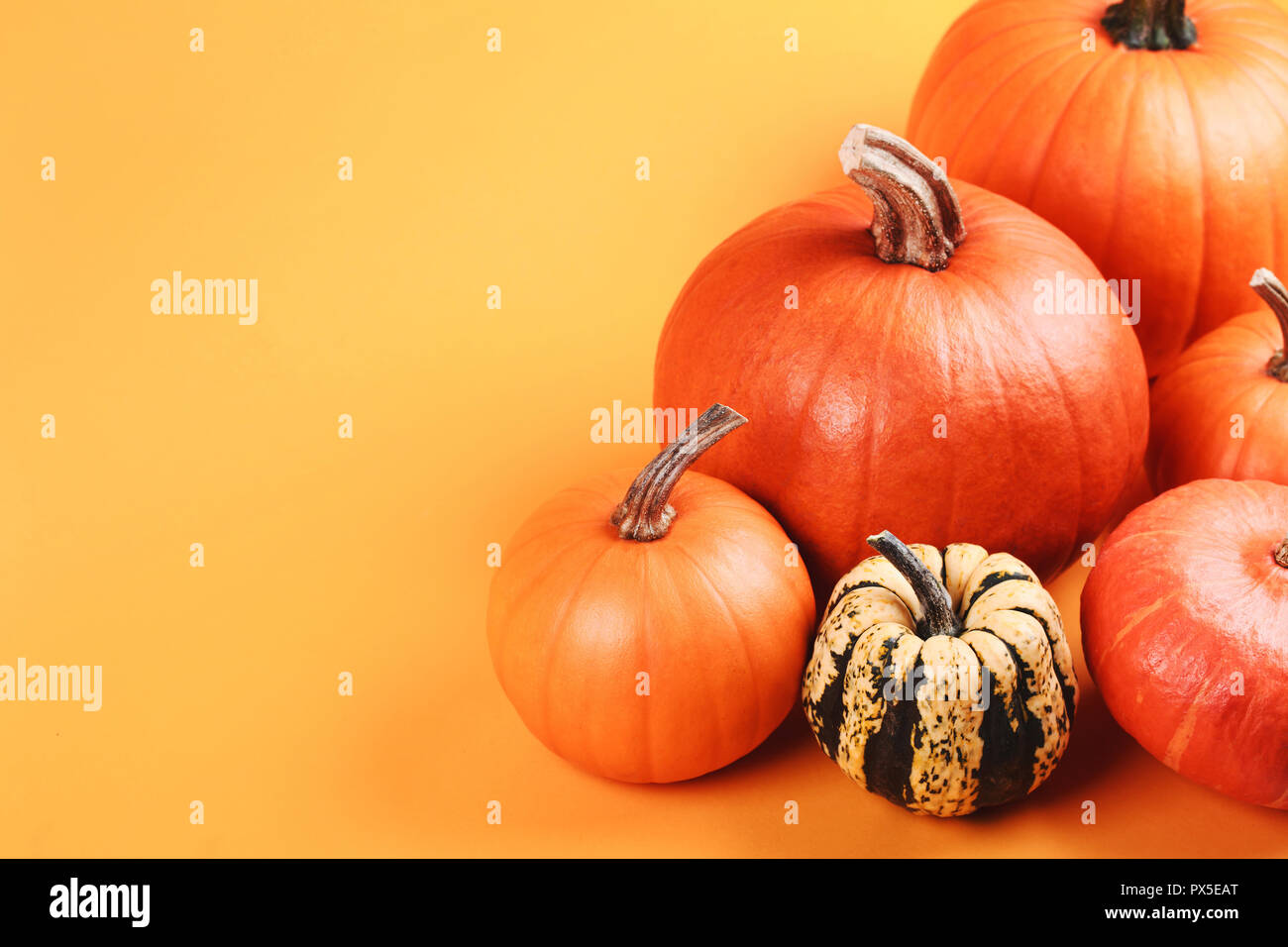 Group of pumpkins Stock Photo - Alamy