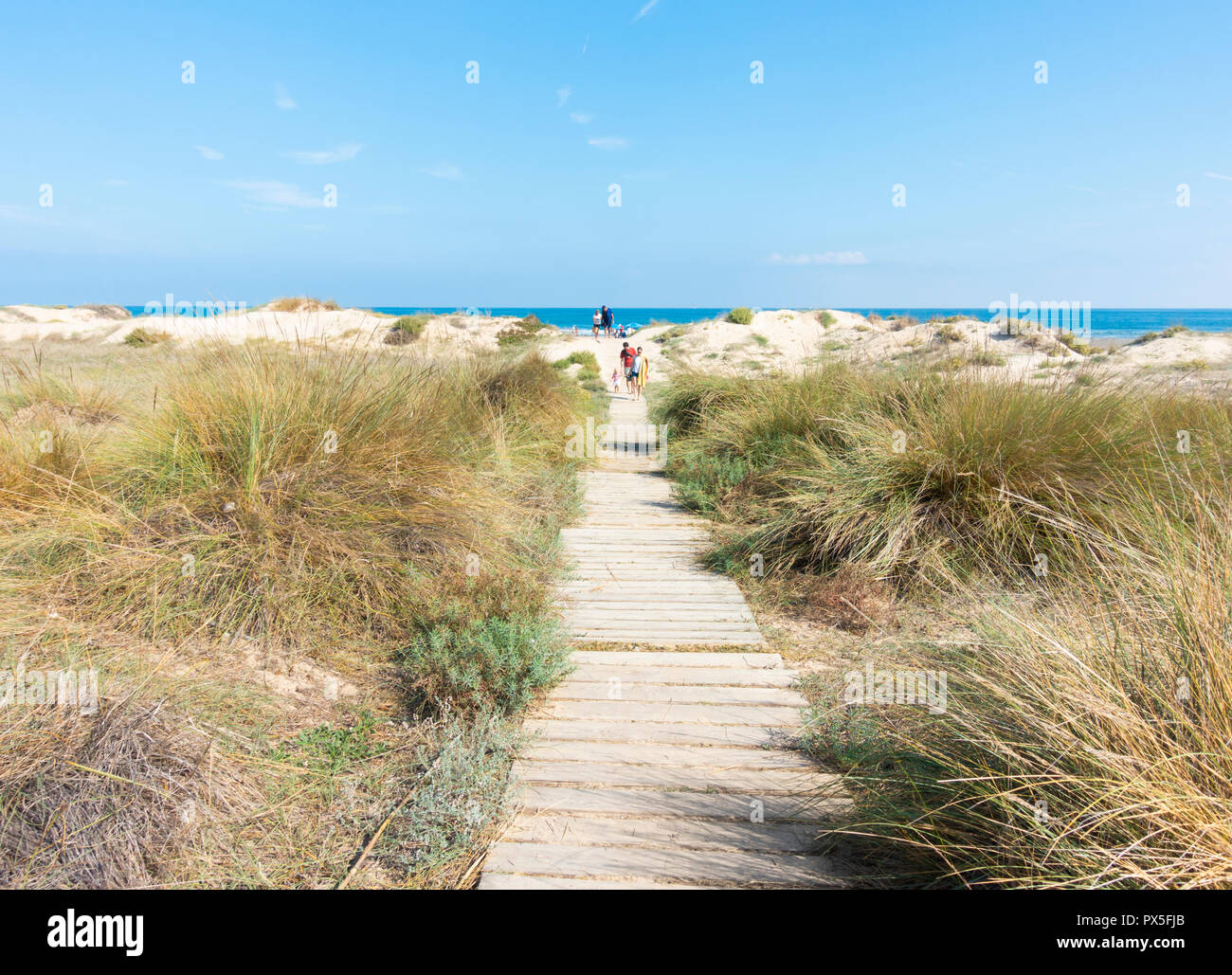 Beach near Oliva on the Costa del Azahar, near Denia, Valencia province ...