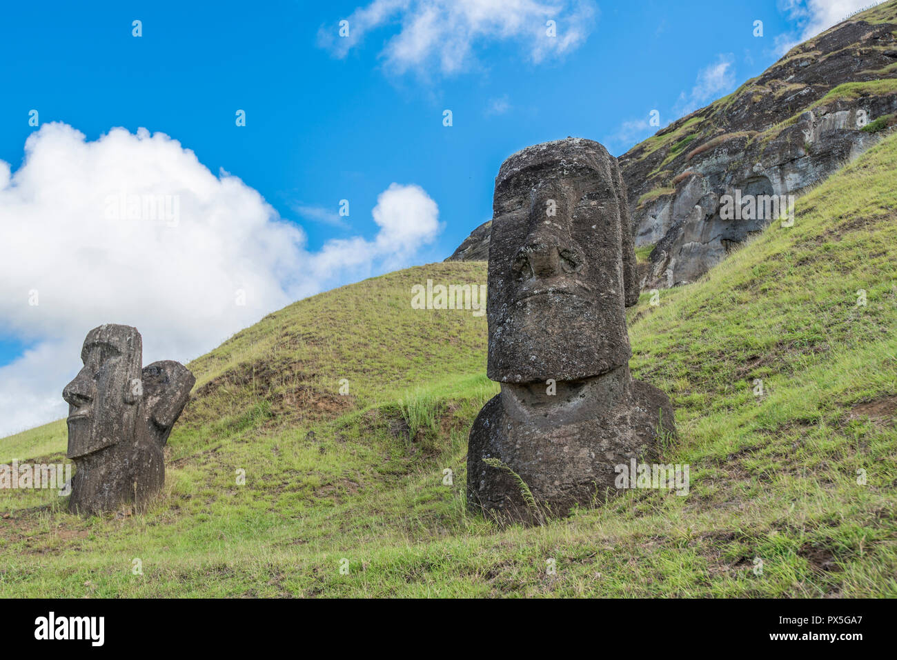 Moai guarding the Rano Raraku volcano Stock Photo - Alamy