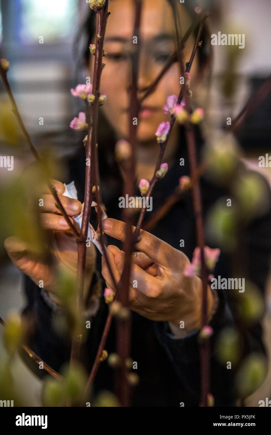 Shinnenkai new year zen buddhist ceremony in Paris, France Stock Photo ...