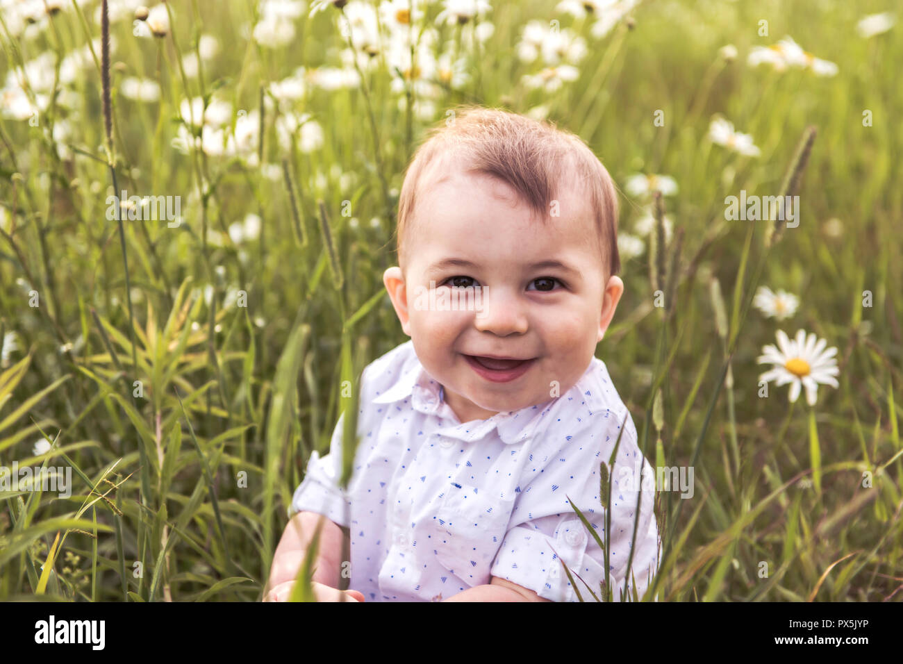 A Happy baby boy standing in grass on the field of daisy Stock Photo ...