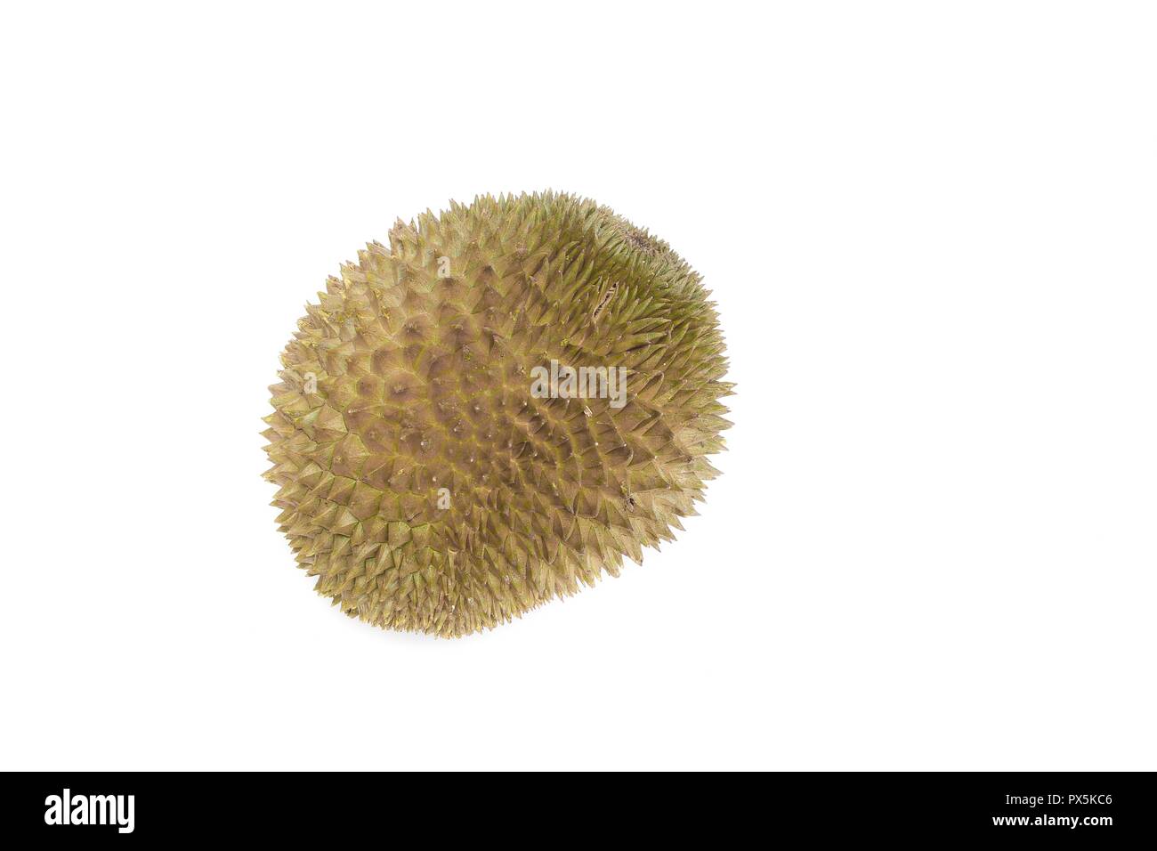 durian with shell, King of fruit on white background Stock Photo - Alamy