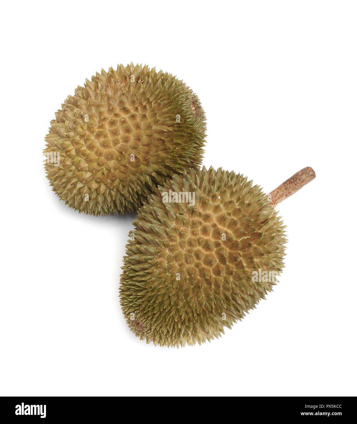 durian with shell, King of fruit on white background Stock Photo - Alamy