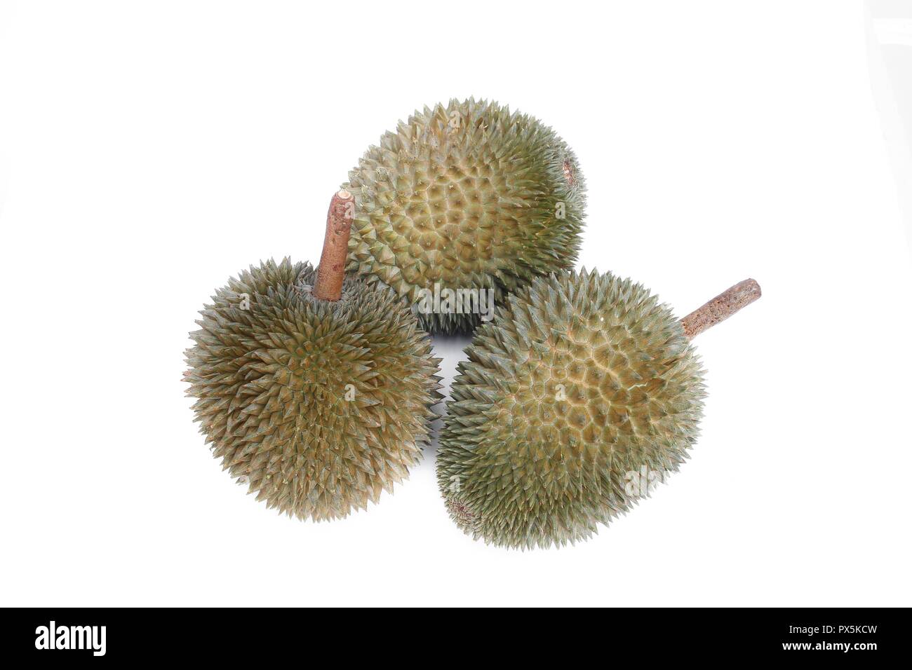 durian with shell, King of fruit on white background Stock Photo - Alamy