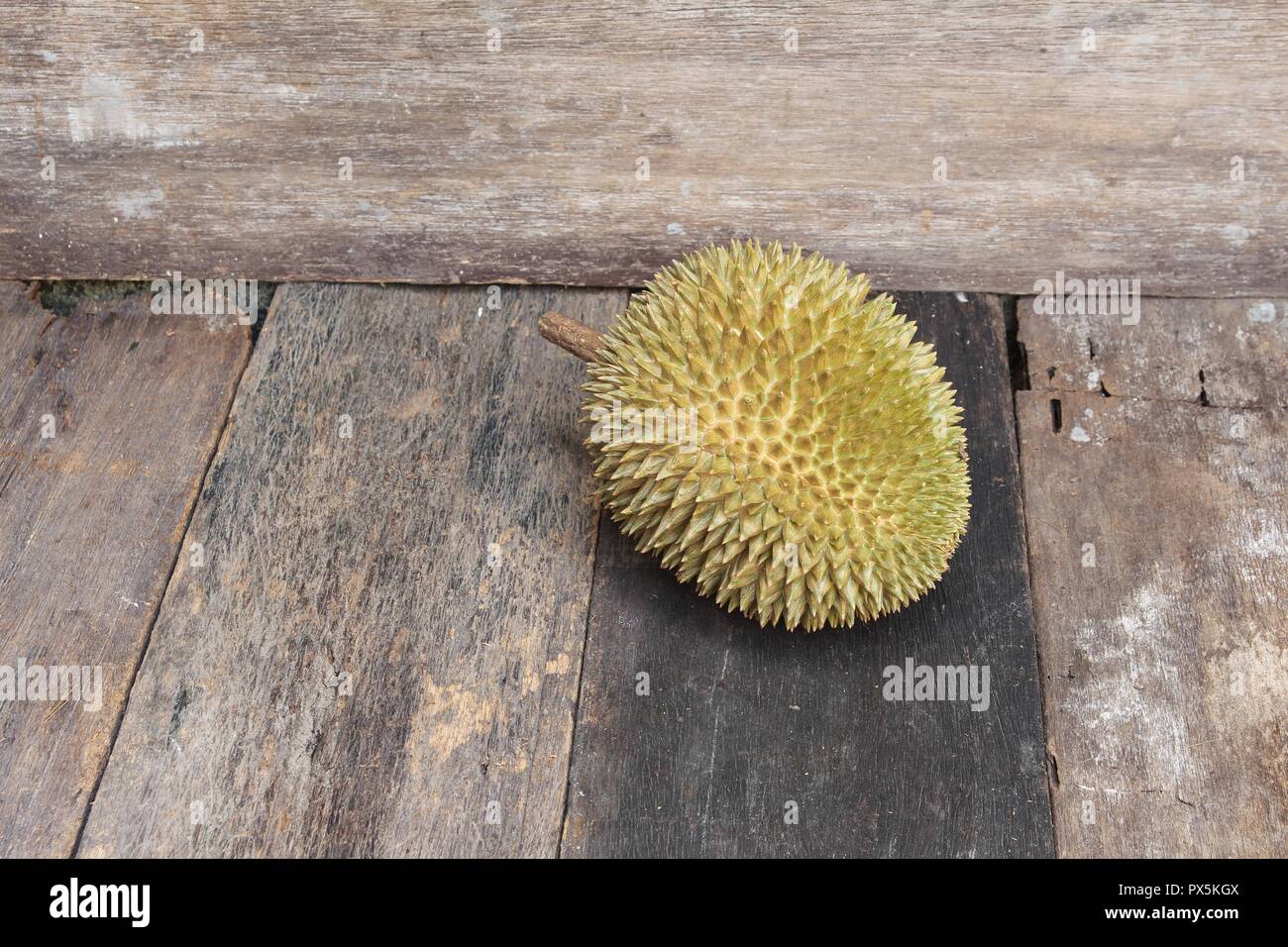 durian ripe fruit which has thorn on the wood board background. with ...