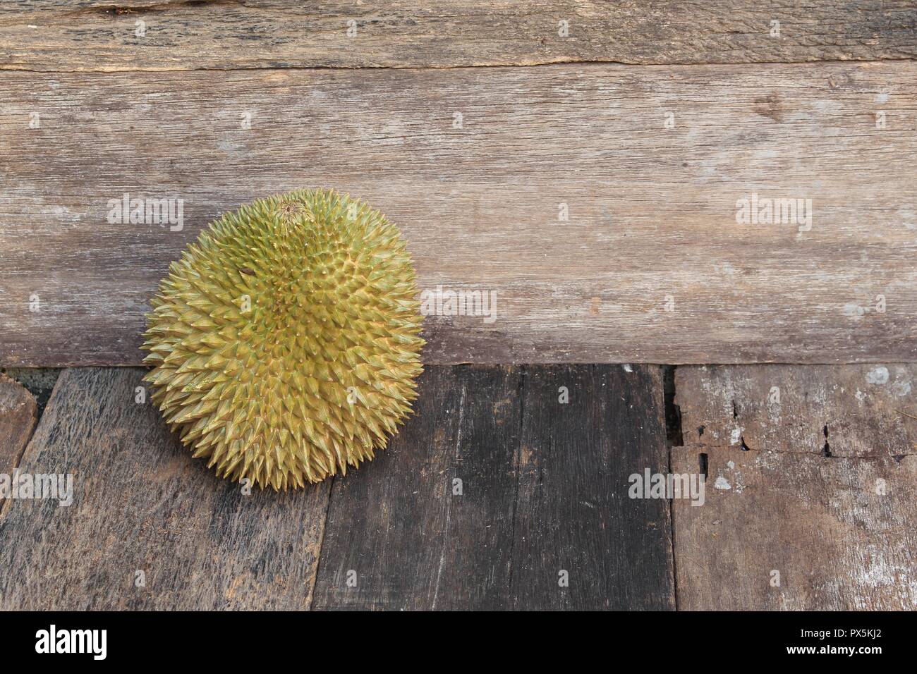 durian ripe fruit which has thorn on the wood board background. with ...