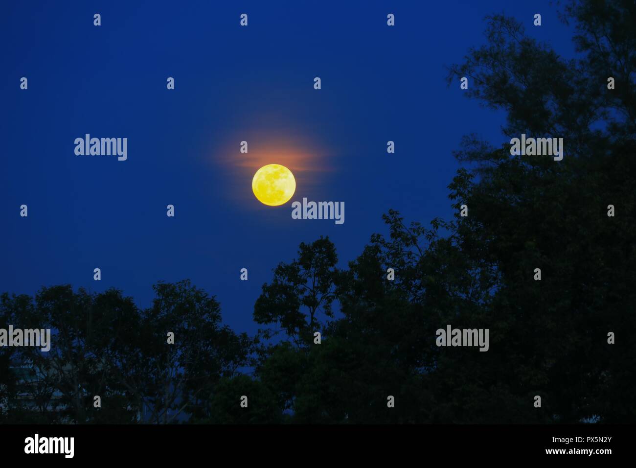 Full moon beautiful over dark sky at have tree shadow in night Stock ...