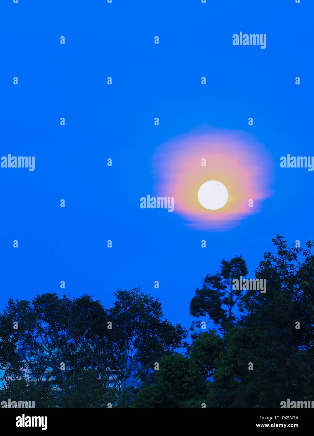 Full moon beautiful over dark sky at have tree shadow in night Stock ...