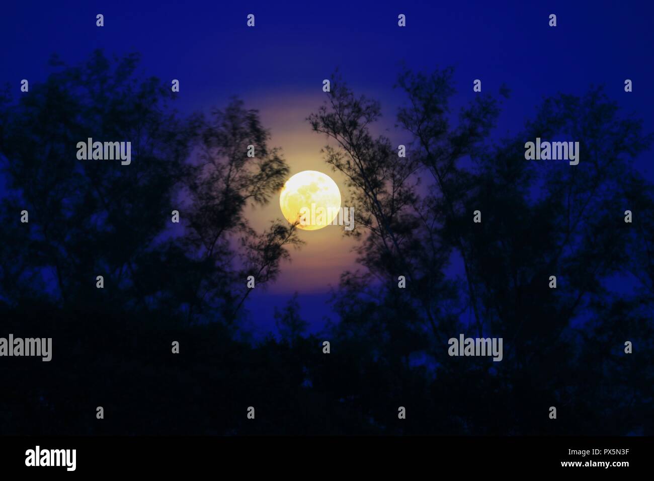 Full moon beautiful over dark sky at have tree shadow in night Stock ...