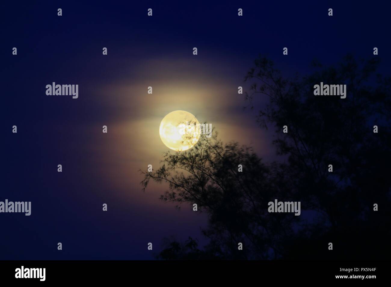 Full moon beautiful over dark sky at have tree shadow in night Stock ...