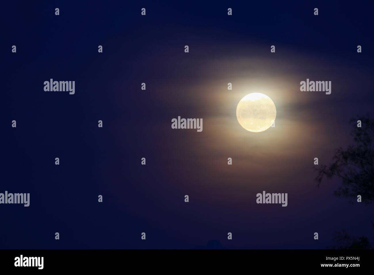 Full moon beautiful over dark sky at have tree shadow in night Stock ...