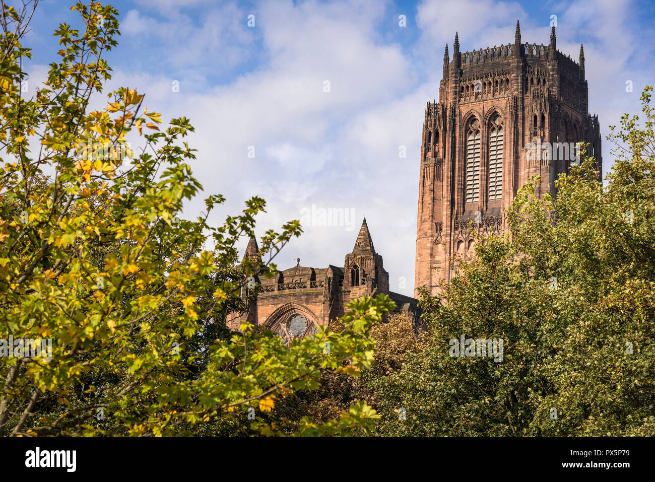 Liverpool Anglican cathedral, autumn colours Stock Photo - Alamy