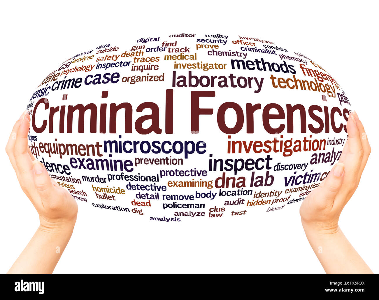 Criminal Forensics word cloud hand sphere concept on white background ...