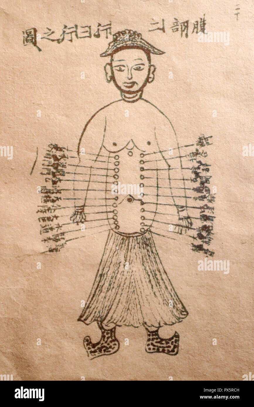 Acupuncture drawing hi-res stock photography and images - Alamy