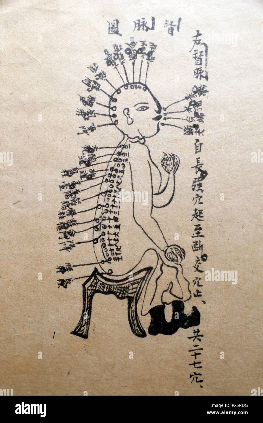 Acupuncture drawing hi-res stock photography and images - Alamy