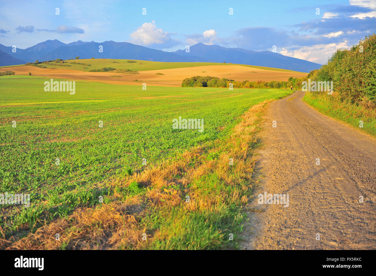 Beautiful rural landscape with a road and grass field, Slovakia Stock ...