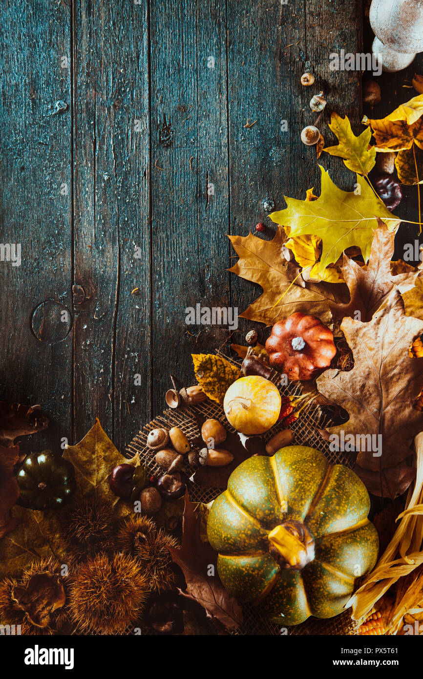 Thanksgiving dinner plate hi-res stock photography and images - Alamy