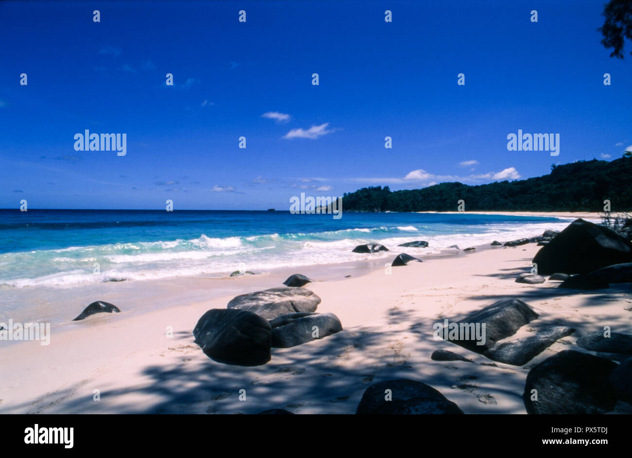 tropical beach with palm trees in Anse Intendance, Mahe island ...