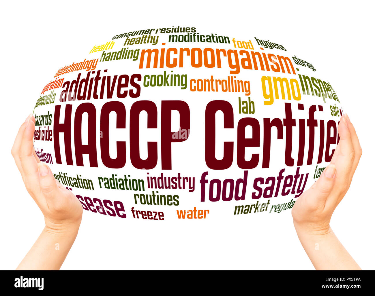 HACCP Certified, word cloud hand sphere concept on white background. HACCP - Food Safety ...