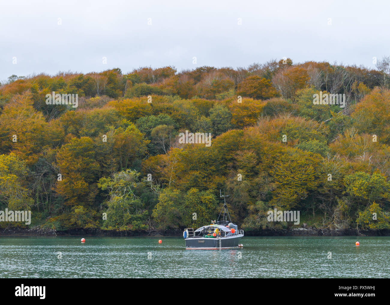 Autumn trees ireland hi-res stock photography and images - Alamy