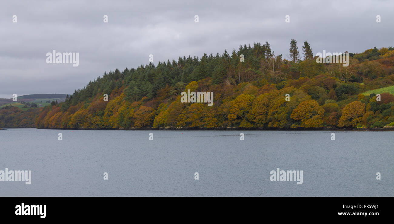 Autumn trees ireland hi-res stock photography and images - Alamy