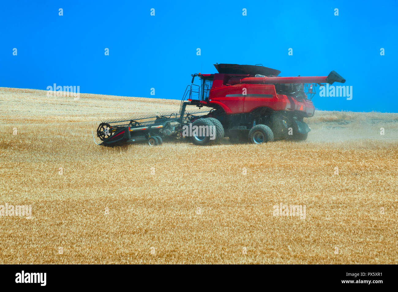 A combine works a hillside harvesting grain in rural Oregon Stock Photo ...