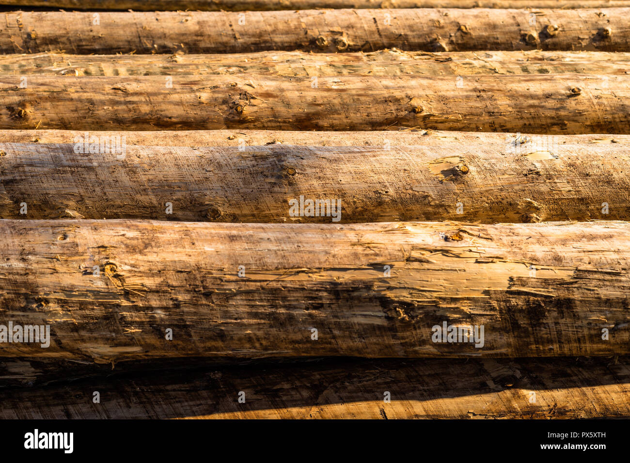 Peeled logs lying in piles on the ground on a sunny day Stock Photo - Alamy