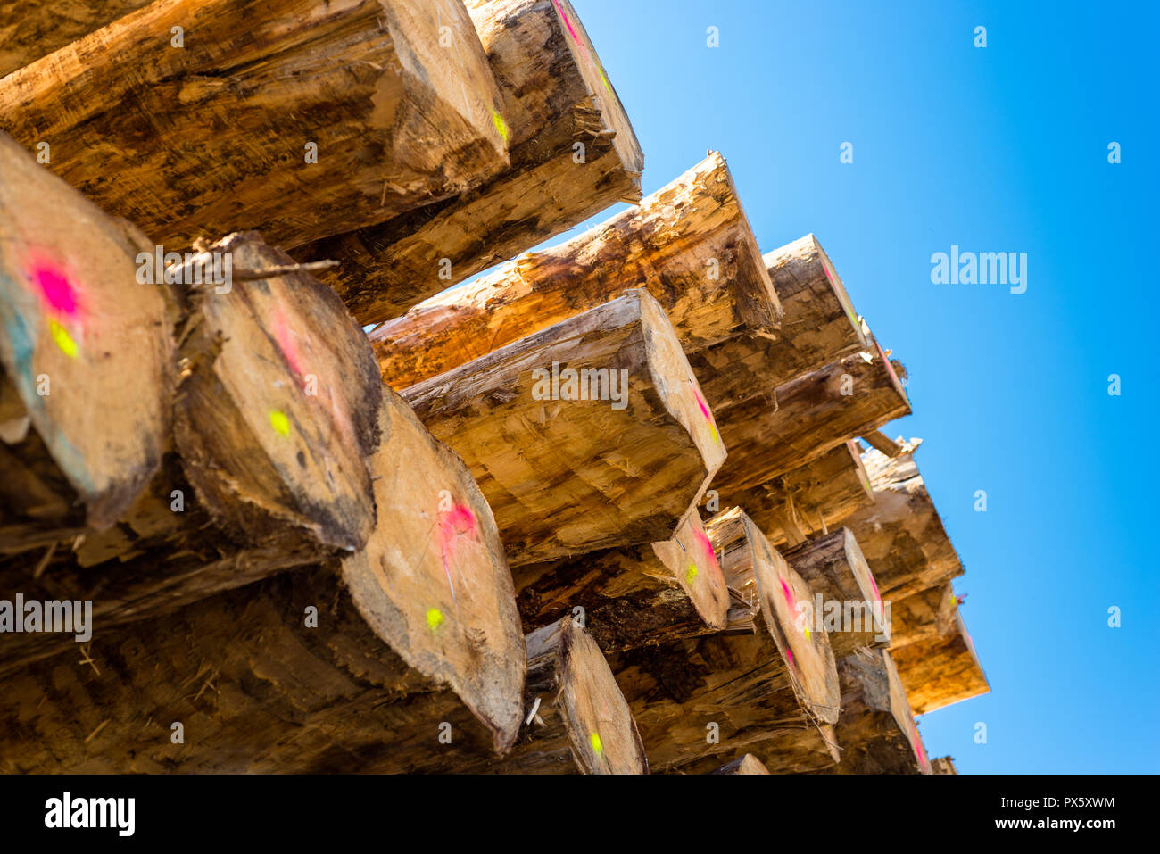 Peeled logs lying in piles on the ground on a sunny day Stock Photo - Alamy
