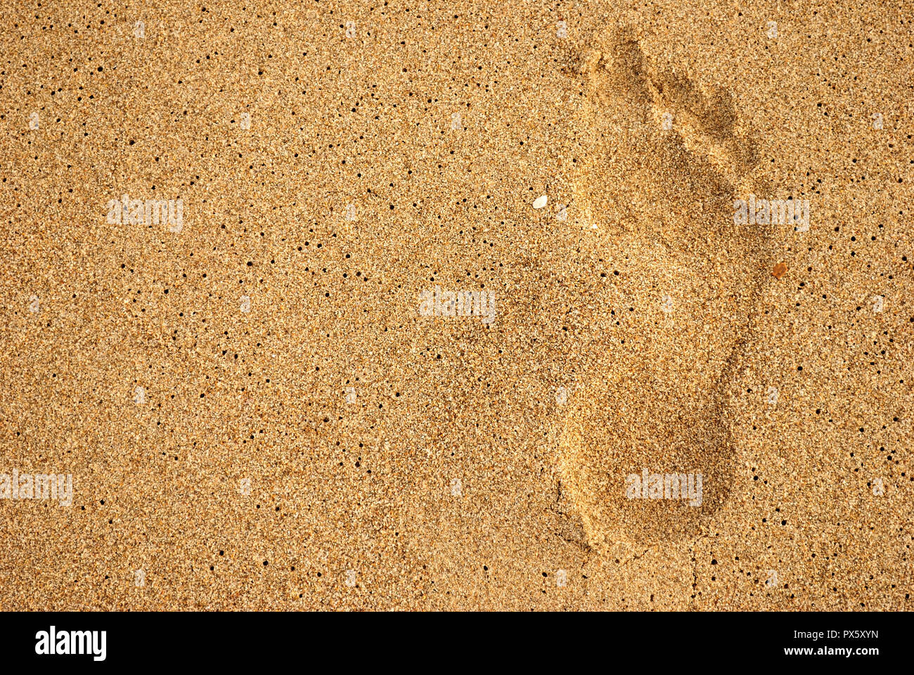 Summer sea, human footprint on the sand directly above, close up ...