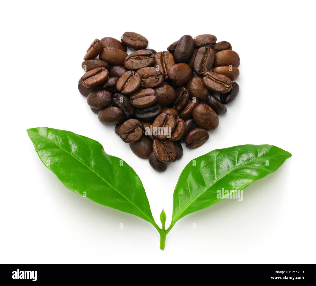 Heart Shaped Roasted Coffee Beans And Leaves Fair Trade Concept Image