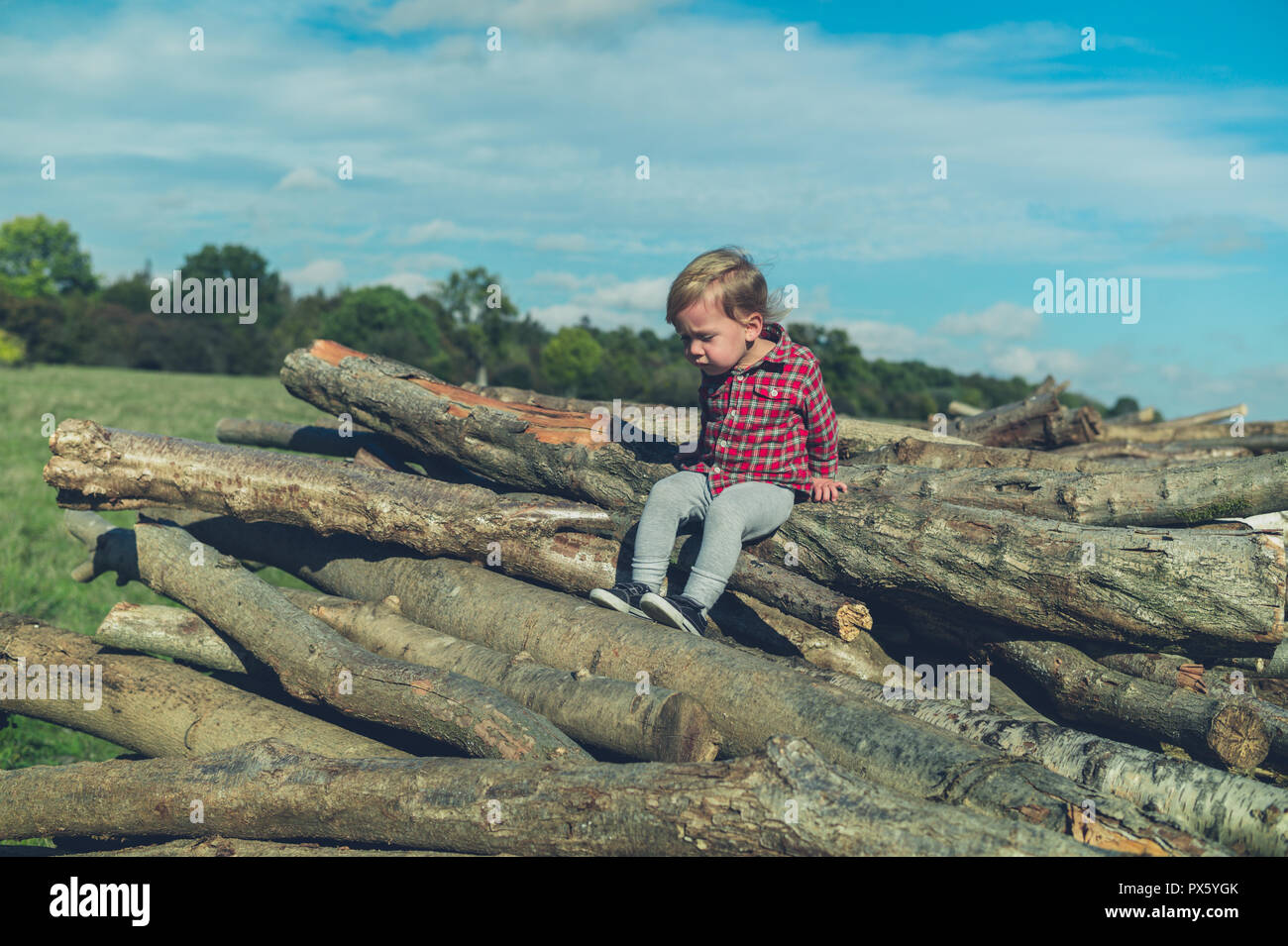 Pile of logs small hi-res stock photography and images - Alamy