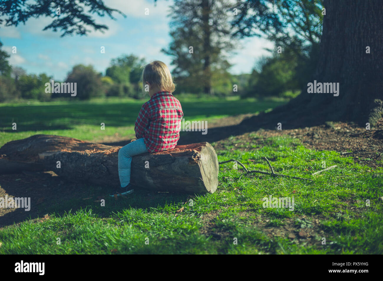 Boy sitting on log in forest hi-res stock photography and images - Alamy