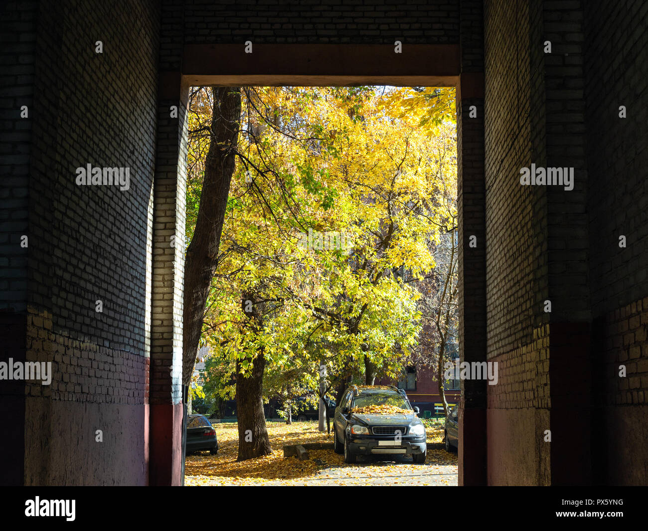 urban yard in Aeroport residential district of Moscow city in autumn ...