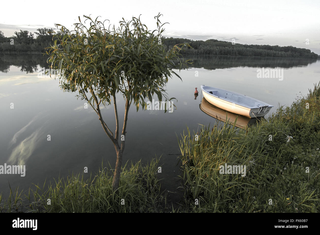 Danube side-arm Greifenstein, blue boat, Austria, Lower Austria, Danube ...