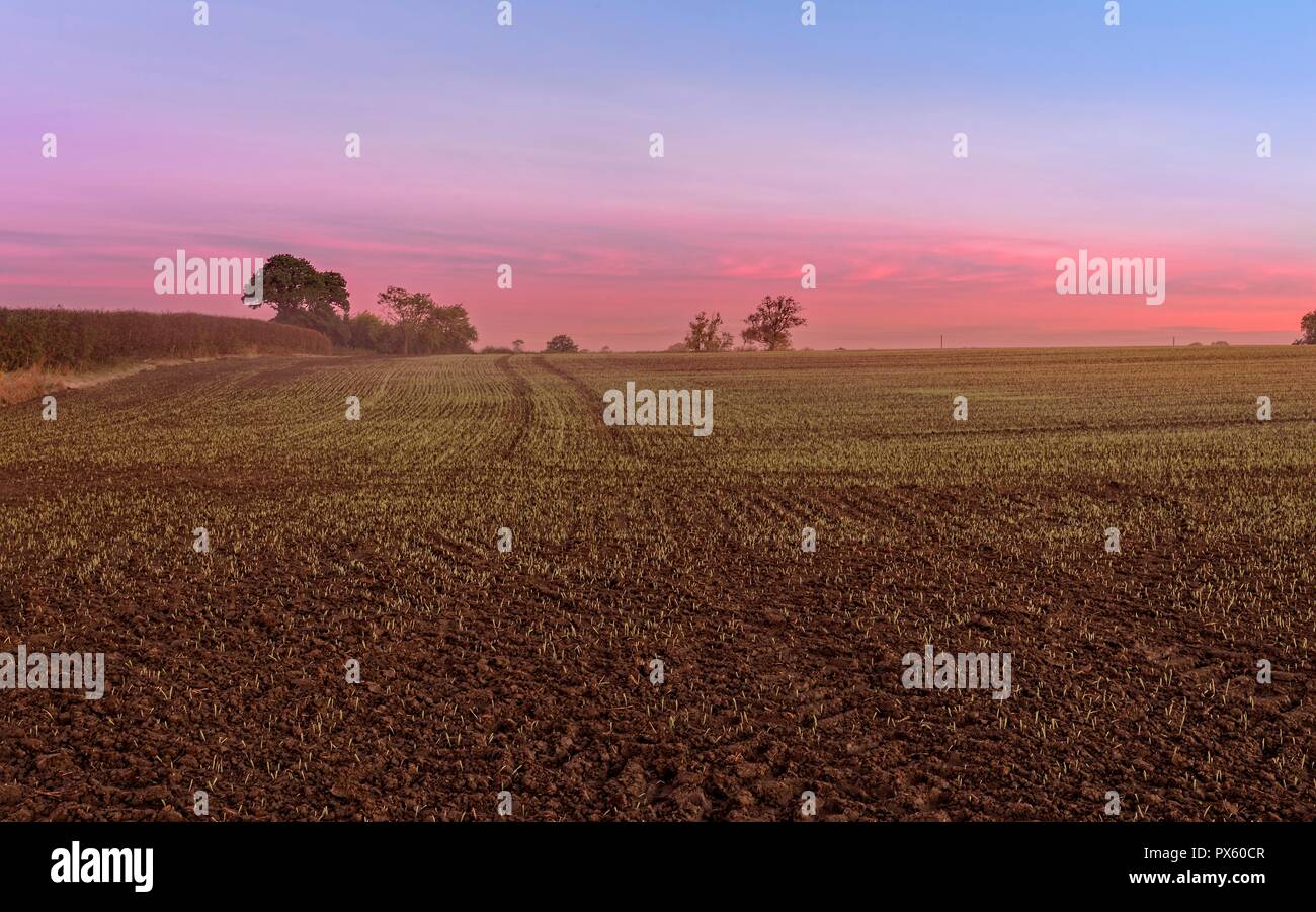 Dawn breaks across the fields with newly planted crops just beginning ...