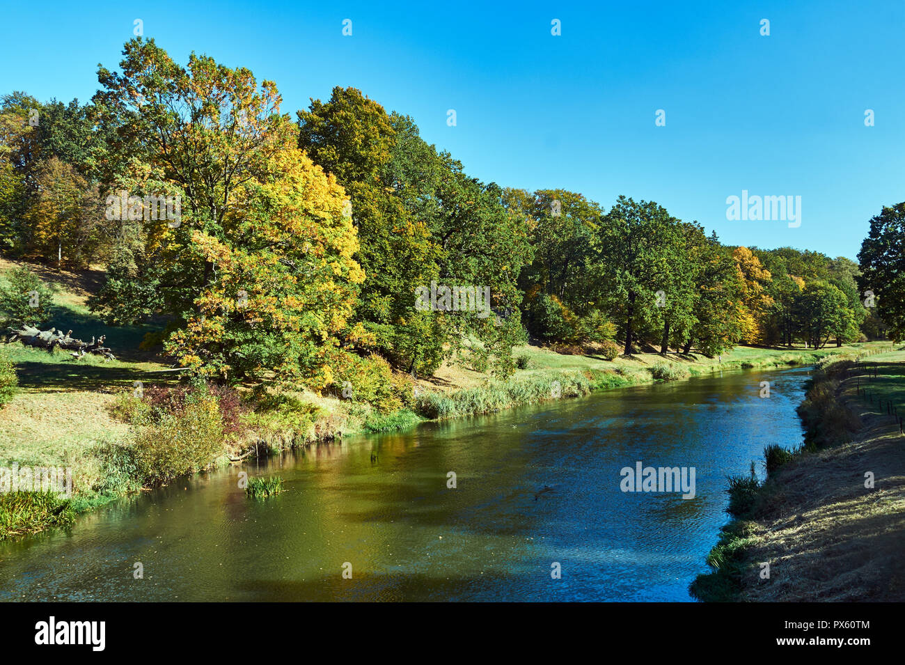 Nysa luzyckia hi-res stock photography and images - Alamy