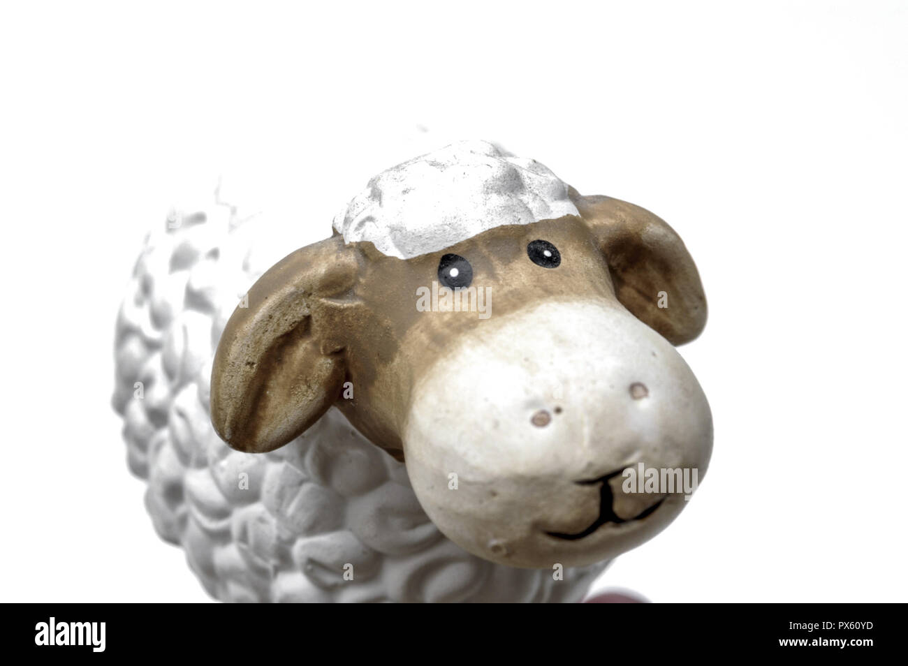 White sheep, pure Stock Photo - Alamy