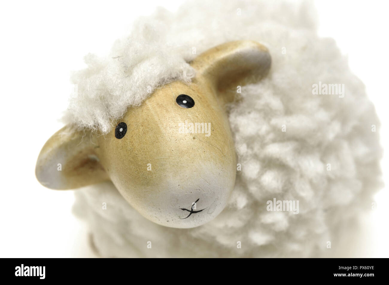 White sheep, pure Stock Photo - Alamy