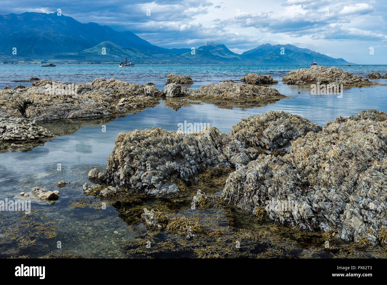 Limestone outcroppings and tidal pools along shoreline of the town of ...